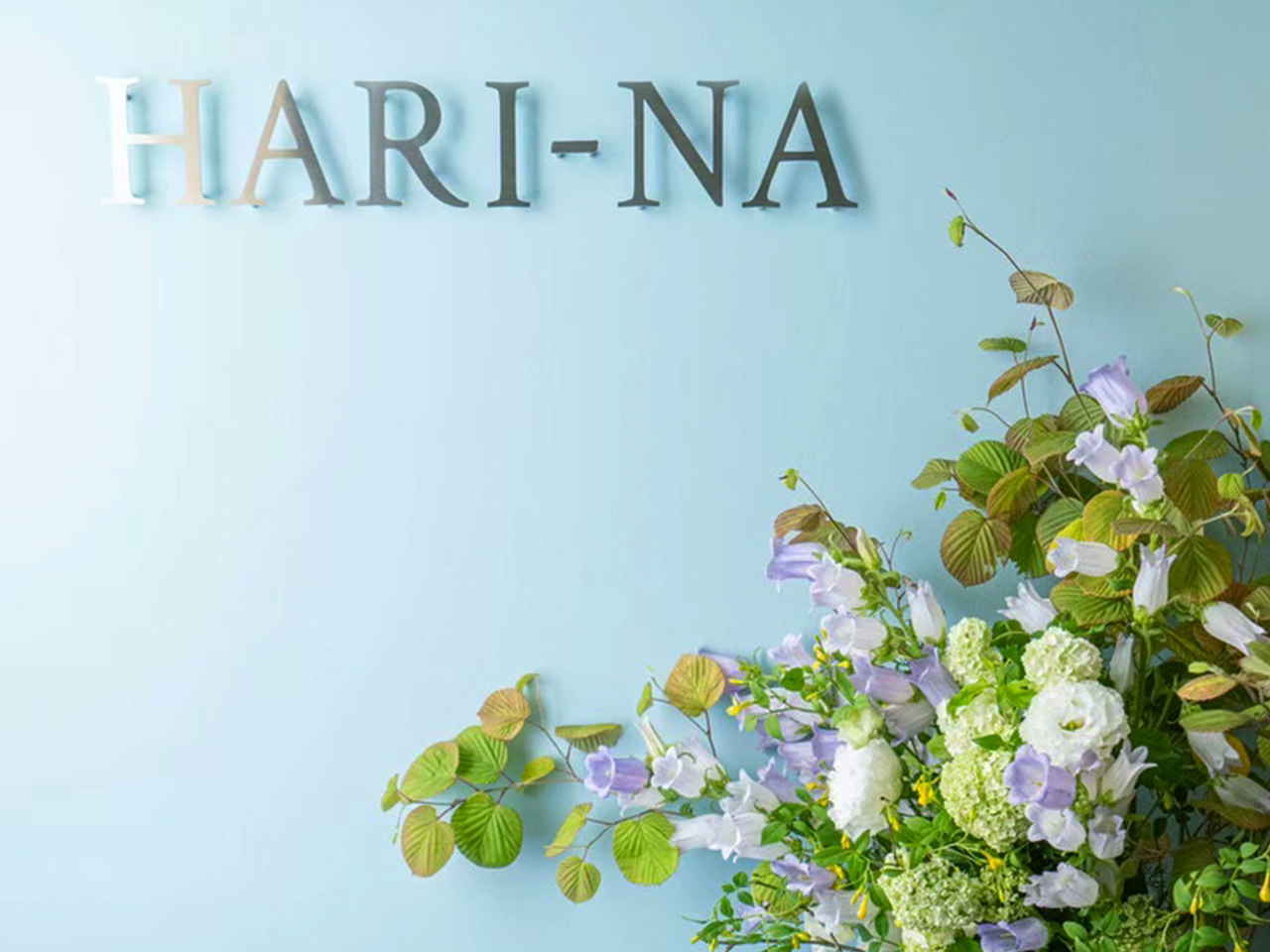 HARI-NA | 恵比寿駅山手線西口から徒歩3分の美容鍼灸院。カラダと向き合う時間を大切に。